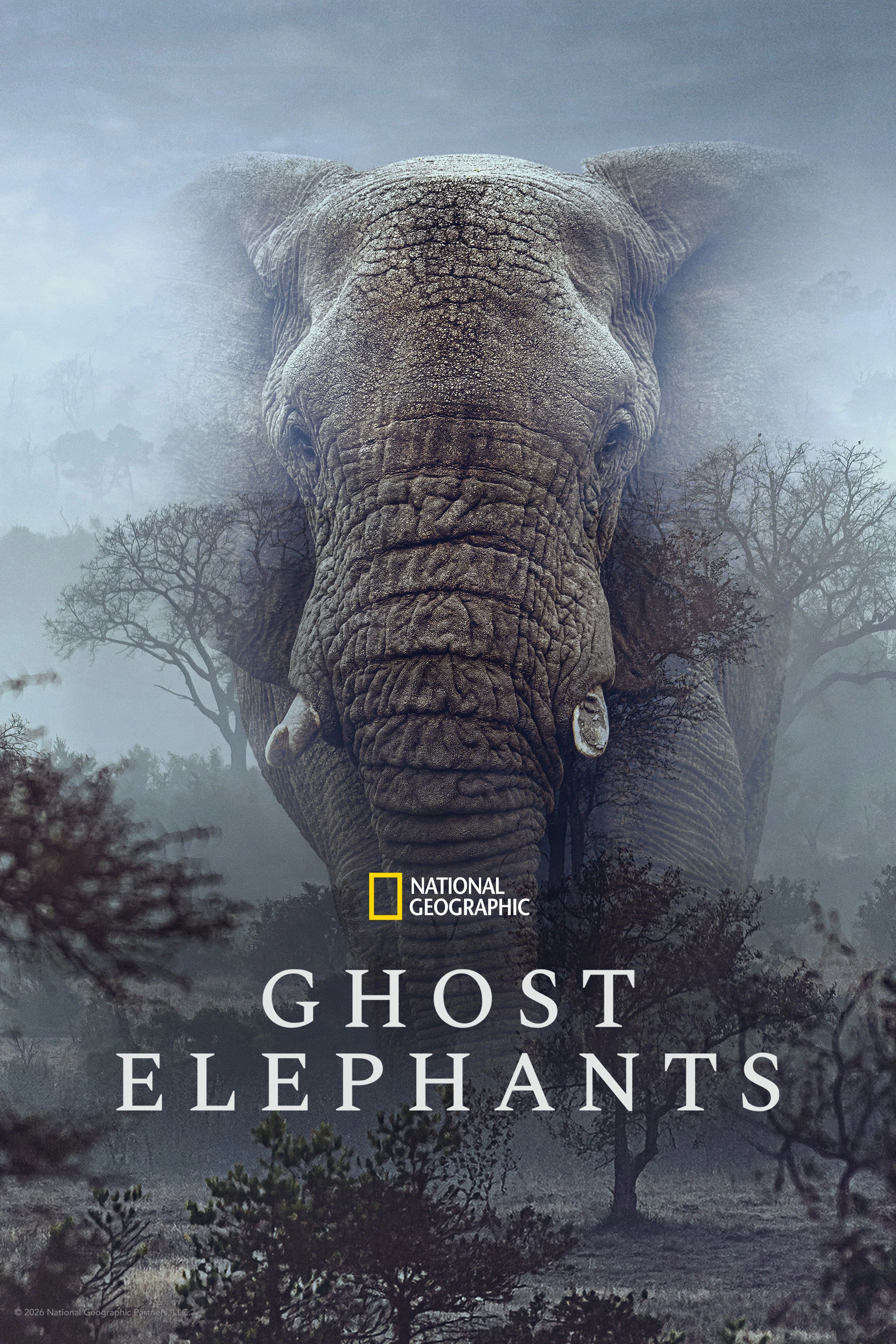 Phim Ghost Elephants Vietsub - HD - Motchill